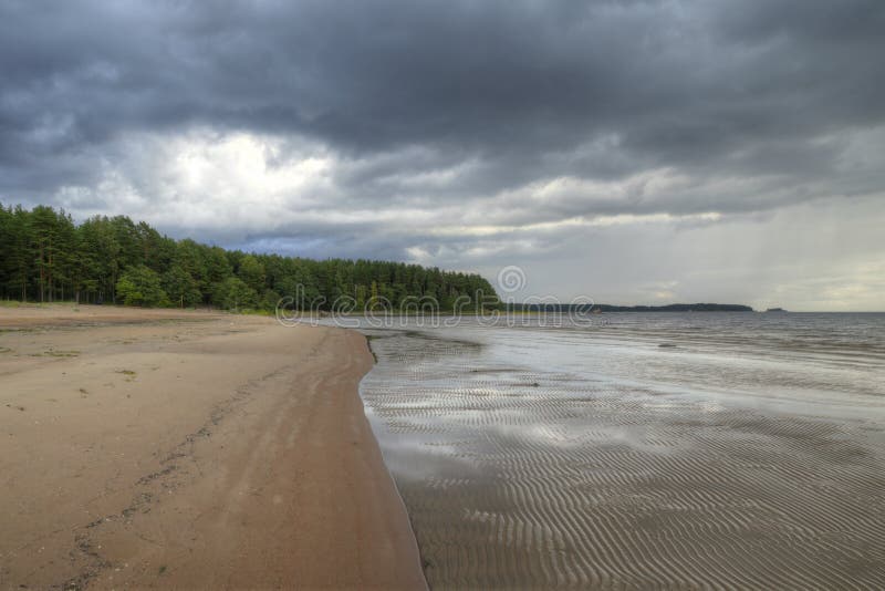 View of Gulf Forest and Barren Beach Stock Image - Image of cloud, sand ...