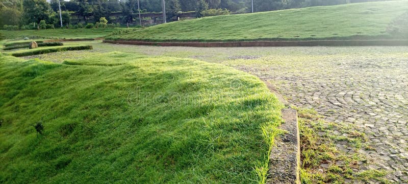 View at Gullele Park Green Legacy Stock Image - Image of green, view ...