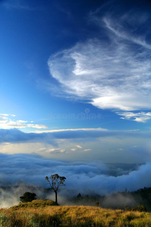 Gunung Rinjani from above stock image. Image of nature - 40156447