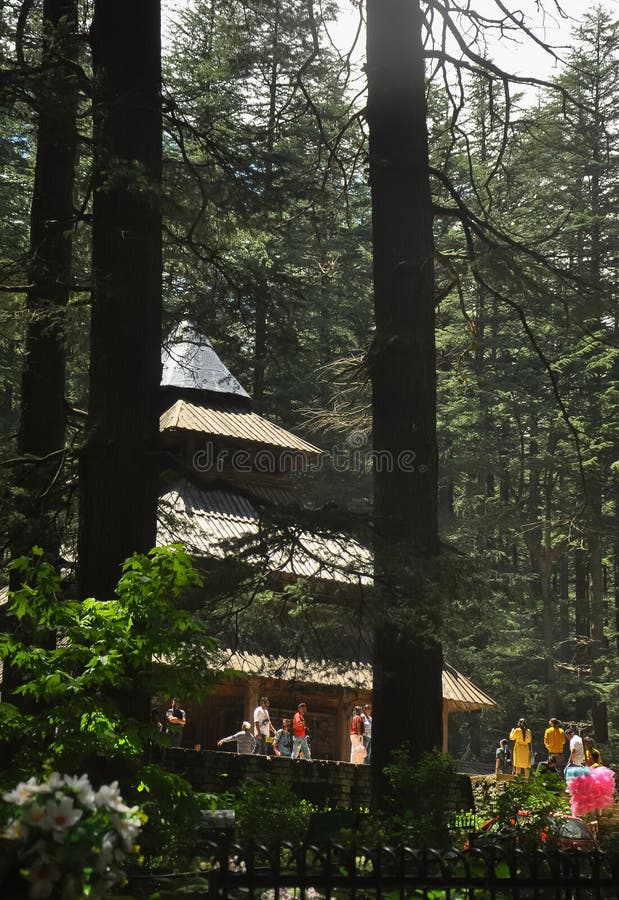 View of Hadimba Devi Temple from among Cedar Trees Editorial Stock ...