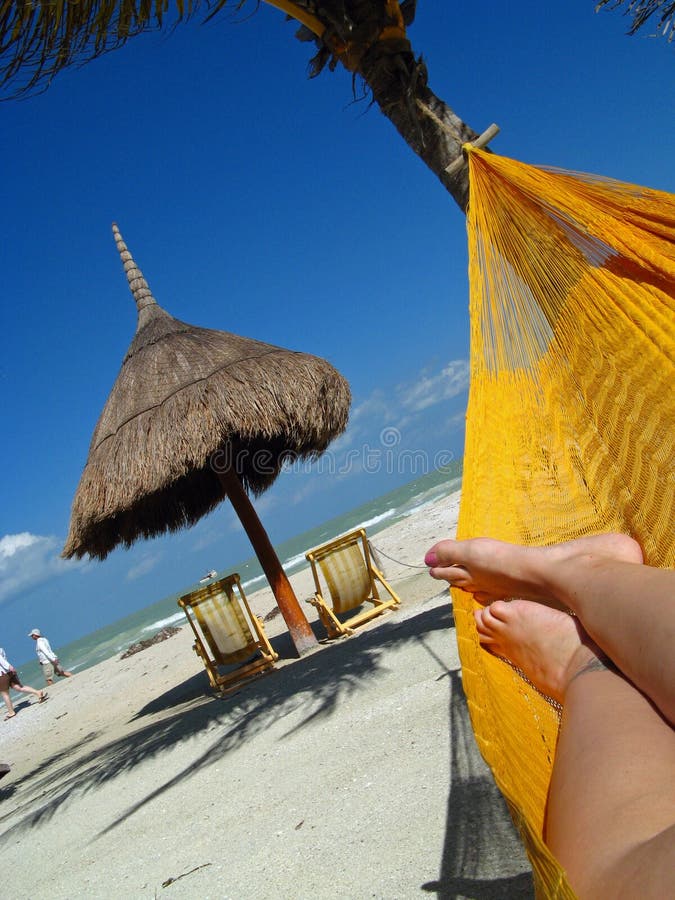View from a hammock stock photo. Image of beige, hammock - 3584768
