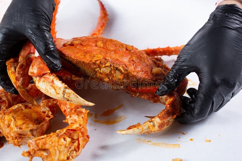 Hands Prepare Dungeness Crab Stock Image - Image of dish, crayfish ...