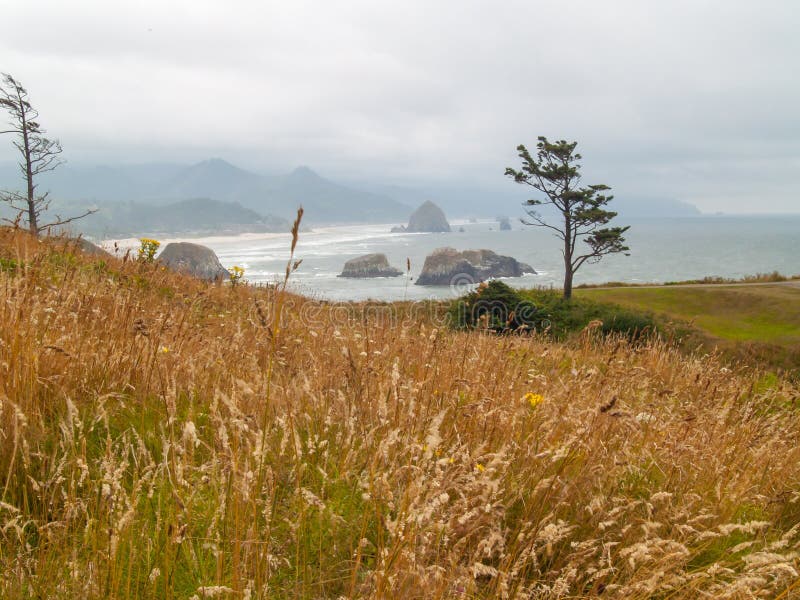 View of Haystack on the Oregon Coast Stock Photo - Image of nature ...