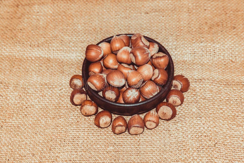 View of Hazelnuts in Shell Isolated on Background Stock Photo - Image ...
