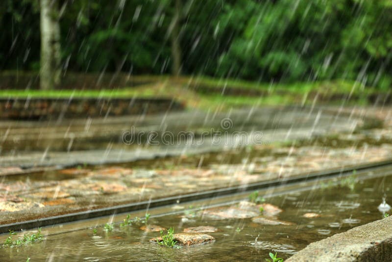 View of Heavy Pouring Rain on Street Stock Photo - Image of falling ...