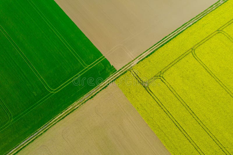 View from a Height of the Triangles of Farm Fields. Growing Rapeseed ...