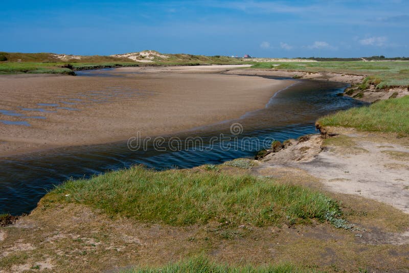 Het Zwin Nature Reserve, Belgium Stock Image - Image of plant ...