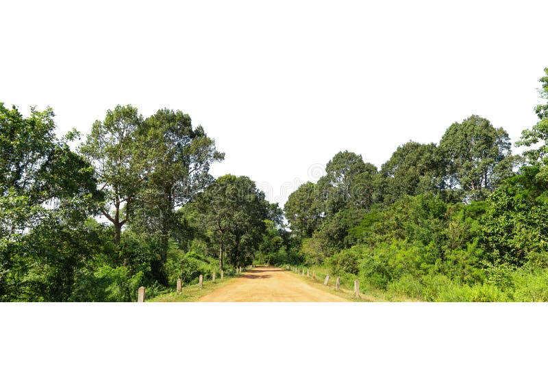 475 Treeline Texture Stock Photos - Free & Royalty-Free Stock Photos ...