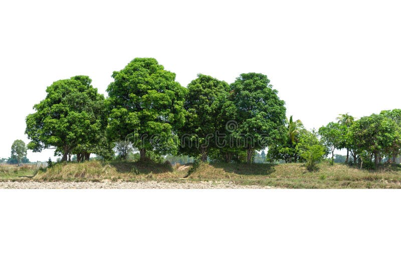 415 Treeline Texture Photos - Free & Royalty-Free Stock Photos from ...