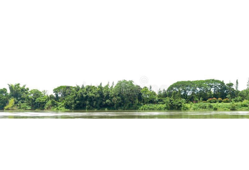 415 Treeline Texture Photos - Free & Royalty-Free Stock Photos from ...