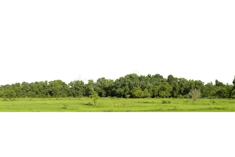 141 Treeline Transparent Stock Photos - Free & Royalty-Free Stock ...