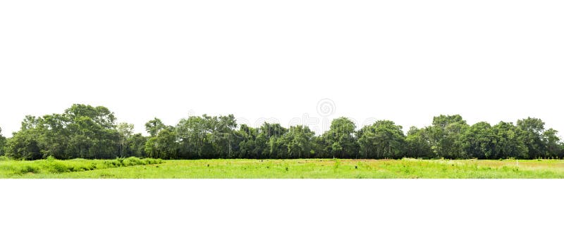 470 Treeline Texture Stock Photos - Free & Royalty-Free Stock Photos ...