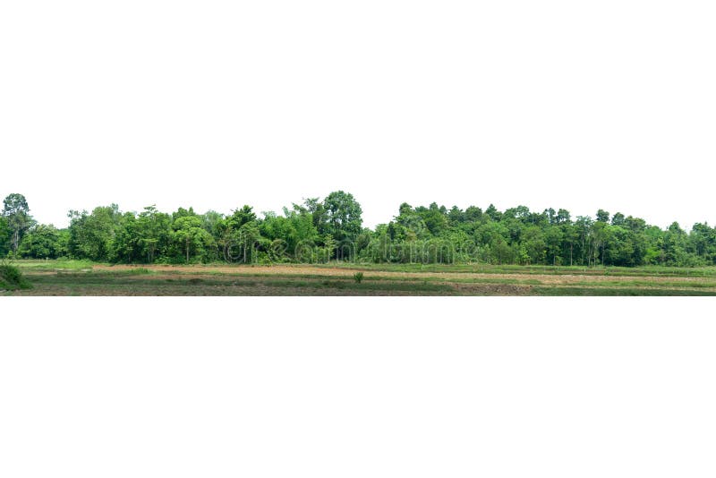 490 Treeline Texture Stock Photos - Free & Royalty-Free Stock Photos ...