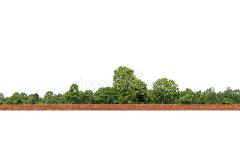 138 Treeline Transparent Background Stock Photos - Free & Royalty-Free ...