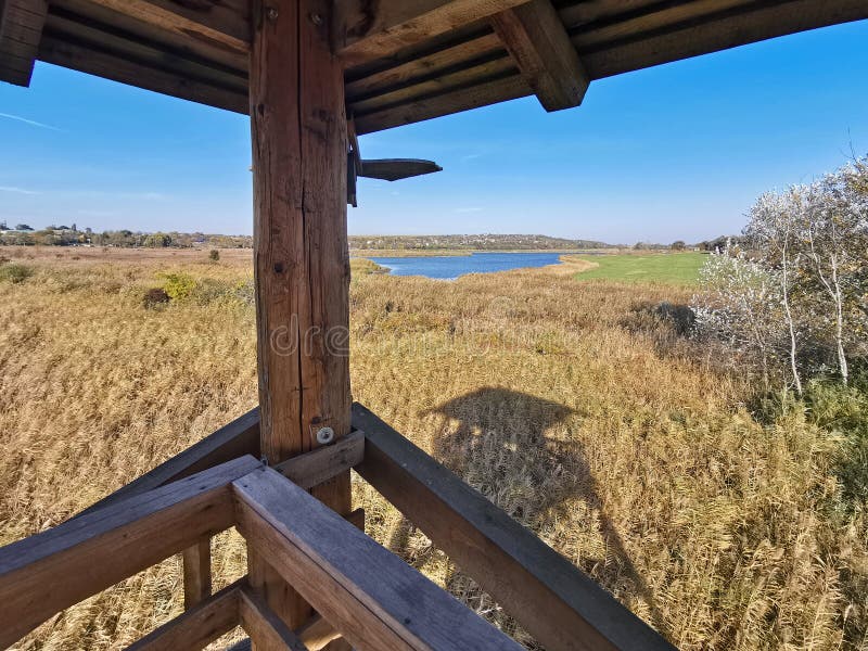 View from High Stand on Field Stock Photo - Image of hunting, deer ...