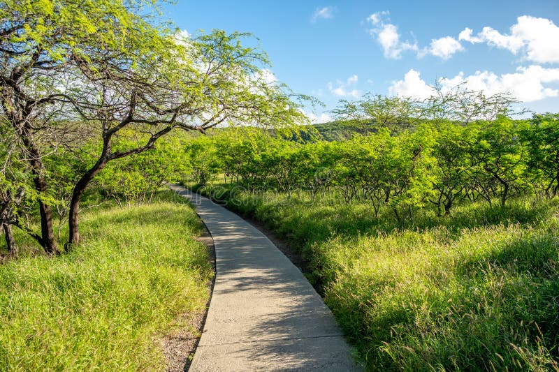 View of the Hiking Path Inside the Diamond Head Crater Stock Photo ...
