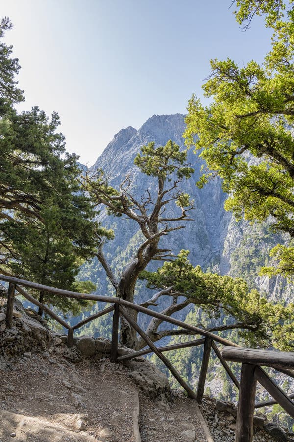 View of the Hiking Path and Trees, Samaria Gorge, Crete, Greece Stock ...