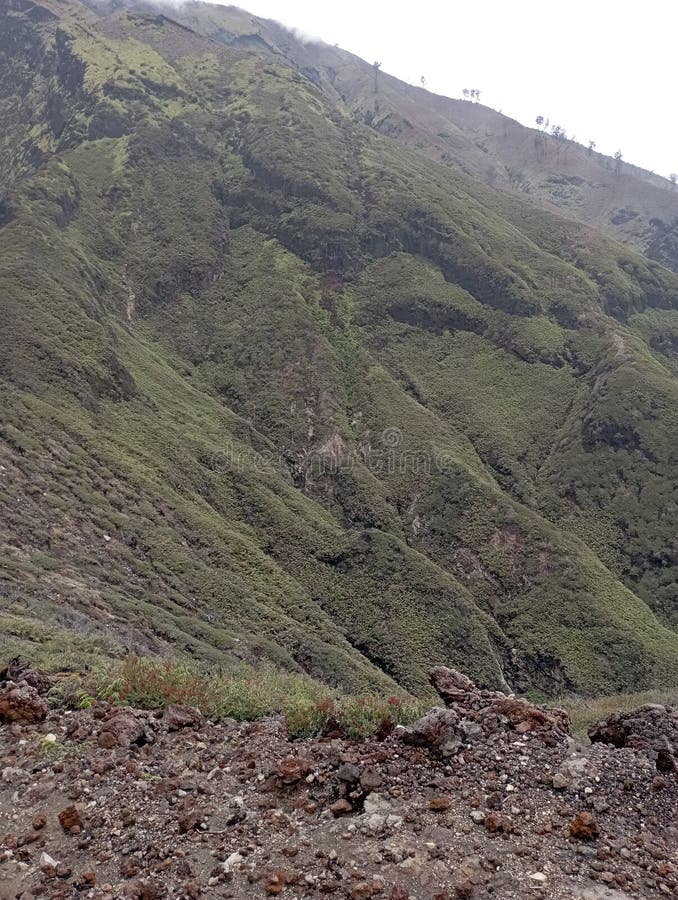 View from Hill Grass and Rocks and Dirt Stock Photo - Image of dirt ...