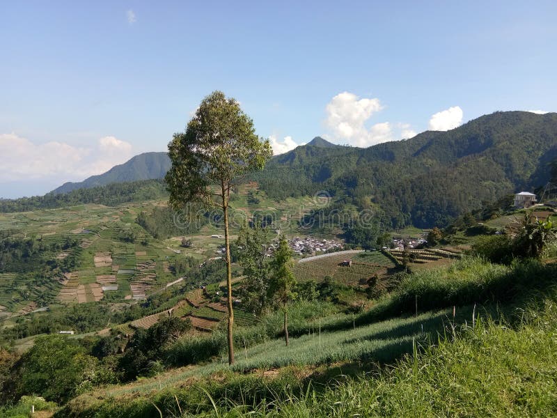A View of the Hills in the Nest of Indonesia Stock Photo - Image of ...