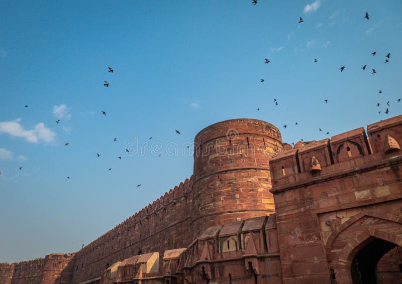 View of the Historic Red Fort with Birds Flying in the Blue Sky. Stock ...