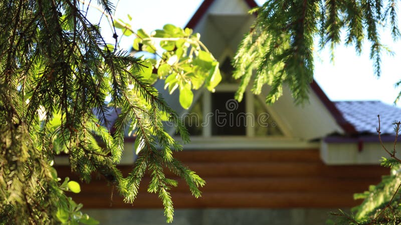 View of the House from the Park or Forest Stock Image - Image of ...