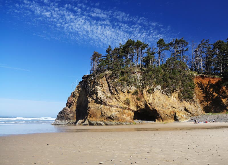 A View from Hug Point State Park Stock Photo - Image of tree, seascape ...