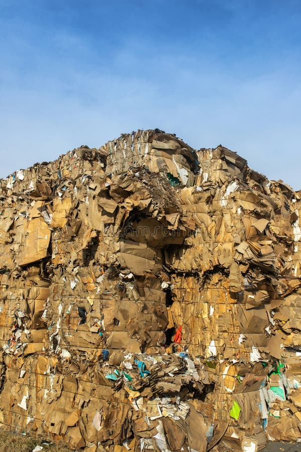 View of a Huge Stack of Waste Paper Outdoors for Recycled, Vertical ...