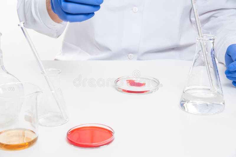 View of a Human Hands in the Laboratory while Performing Experiments ...