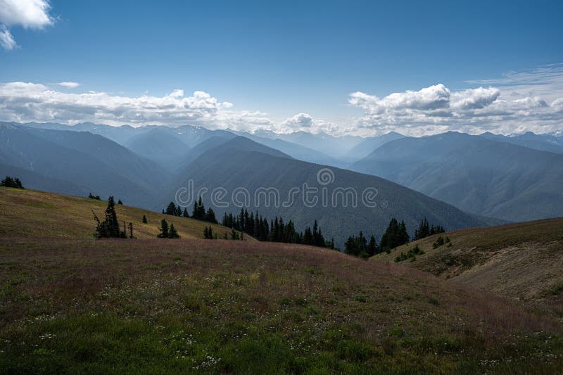 View from the Hurricane Ridge Stock Image - Image of meadow, washington ...