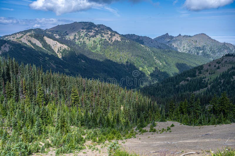 View from the Hurricane Ridge Stock Photo - Image of couple, vacation ...