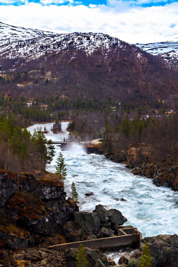 The Mountain River, Fjord and Forest, Norway, North Stock Photo - Image ...
