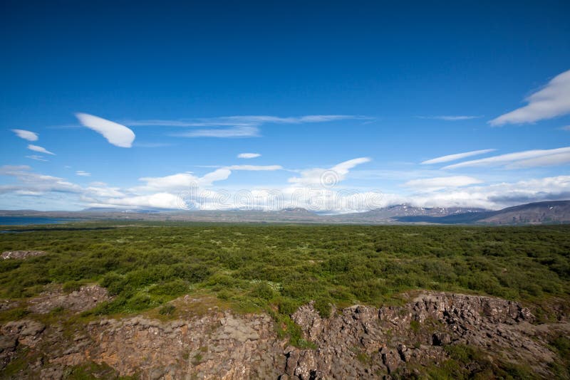 View at Icelandic Plains during Summertime Stock Photo - Image of bush ...