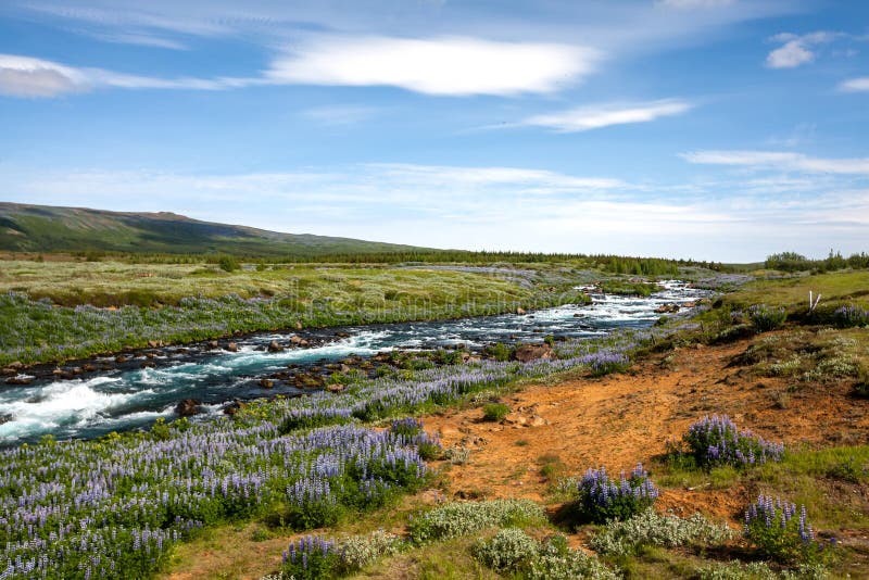 View at Icelandic Plains during Summertime Stock Photo - Image of ...