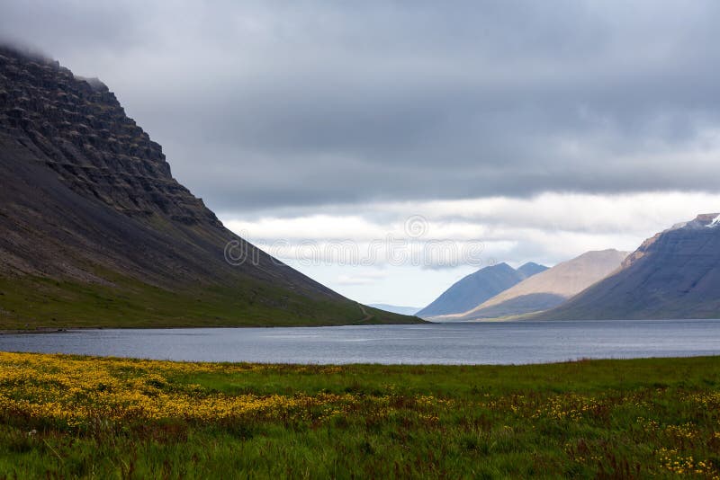 View at Icelandic Plains during Summertime Stock Photo - Image of ...