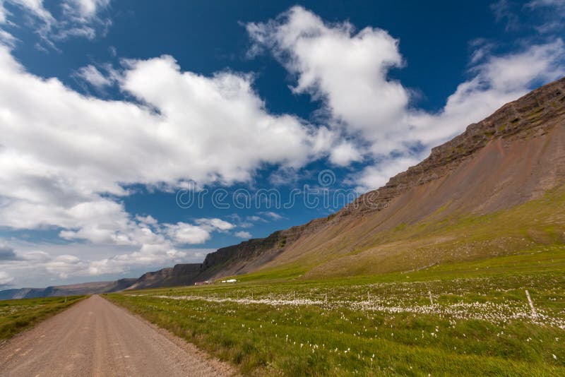 View at Icelandic Plains during Summertime Stock Image - Image of ...