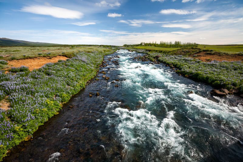 View at Icelandic Plains during Summertime Stock Image - Image of shrub ...