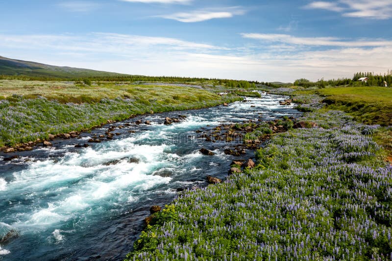 View at Icelandic Plains during Summertime Stock Photo - Image of view ...