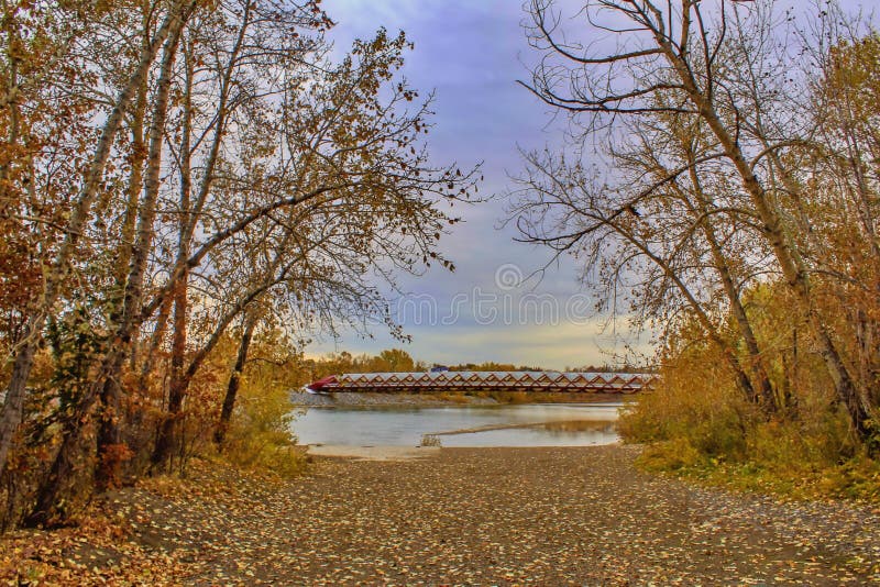 Peace Bridge through Fall Foliage Editorial Stock Photo - Image of ...