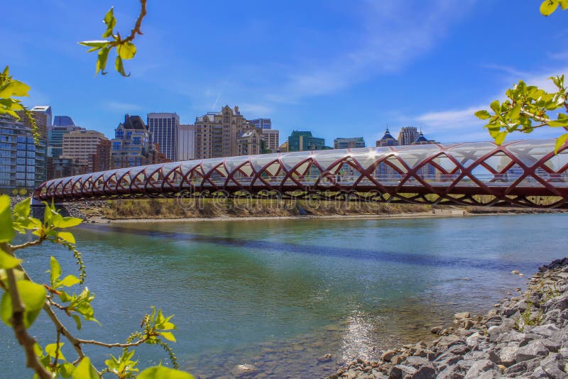 Vibrant Panoramic Peace Bridge Editorial Stock Photo - Image of ...
