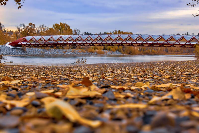 Peace Bridge and Fall Foliage Editorial Image - Image of alberta ...