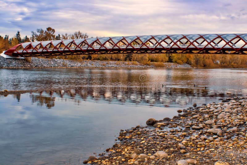 Peace Bridge and Fall Scenery Editorial Stock Photo - Image of fall ...