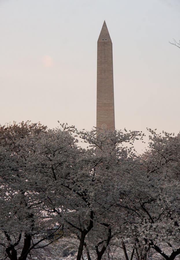 View of the Iconic Washington Monument in DC Stock Photo - Image of ...