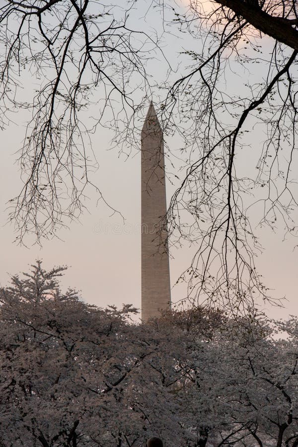 View of the Iconic Washington Monument in DC Stock Photo - Image of ...