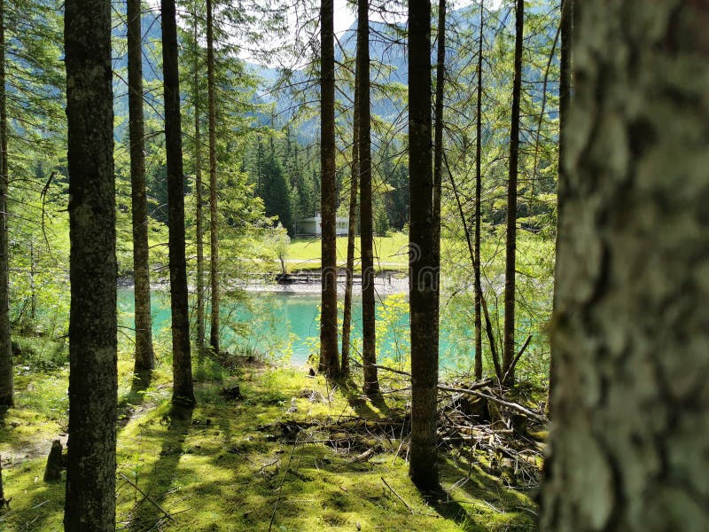 View through idyllic place stock photo. Image of view - 190186306