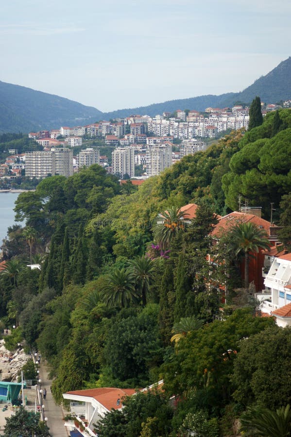 View of Igalo and the Adriatic Sea in Montenegro Stock Image - Image of ...