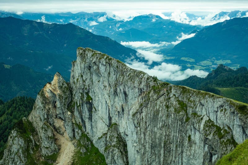 Spinnerin at Schafberg stock image. Image of hillside - 270852911