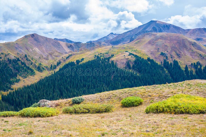 View of Independence Pass, Colorado Stock Photo - Image of trees ...