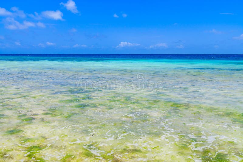 View on Indian Ocean at the Zanzibar Island Stock Image - Image of ...