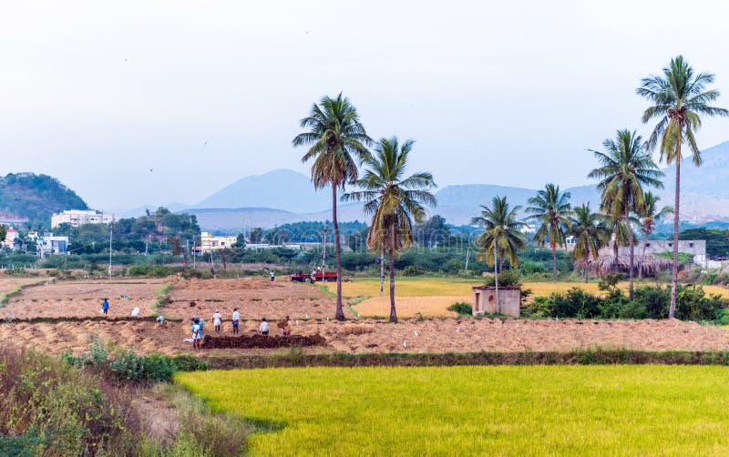 View of the Indian Rural Landscape, Puttaparthi, India Stock Image ...