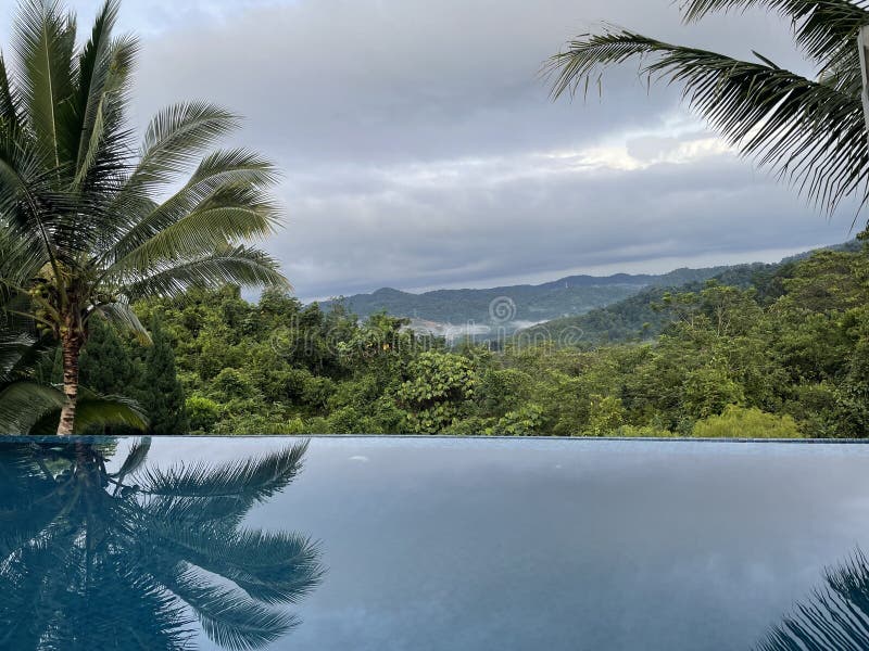 View of Infinity Pool with Palm Trees Reflection Stock Image - Image of ...